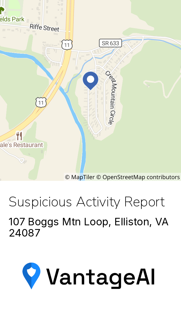 Suspicious Activity Report | Incident | VantageAI